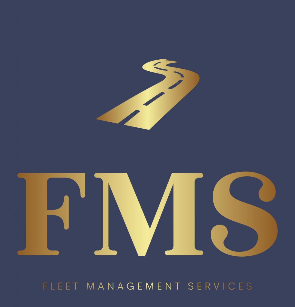 Wheelchair Accessible (WAVS) – FMS – WAV